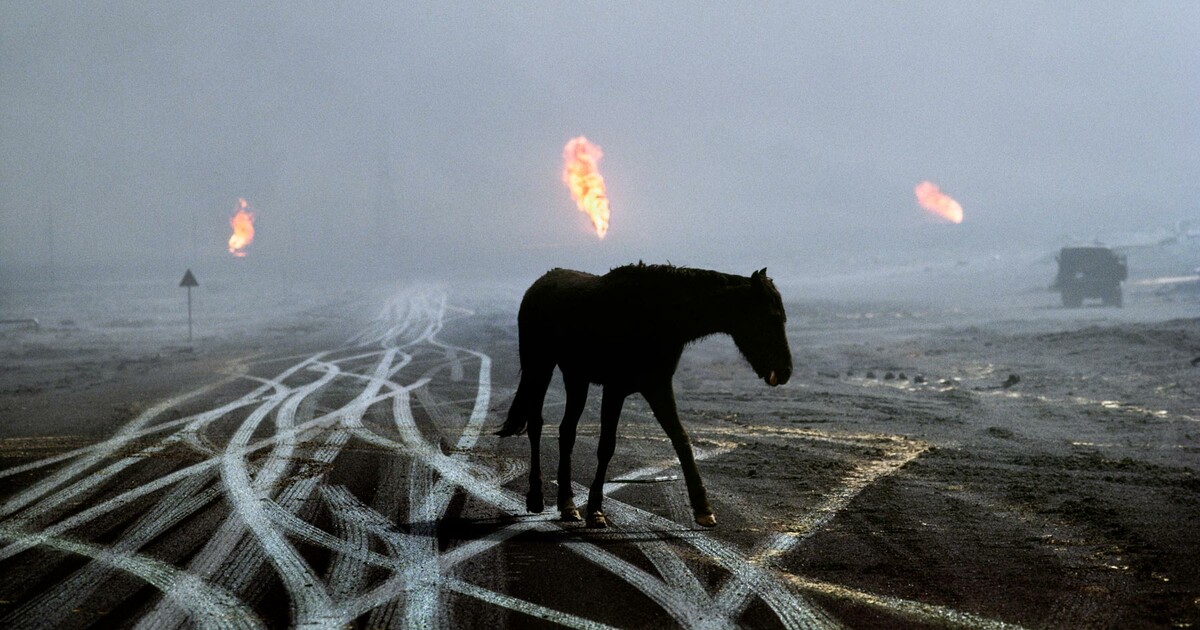 Steve McCurry, 1981 | LiFO