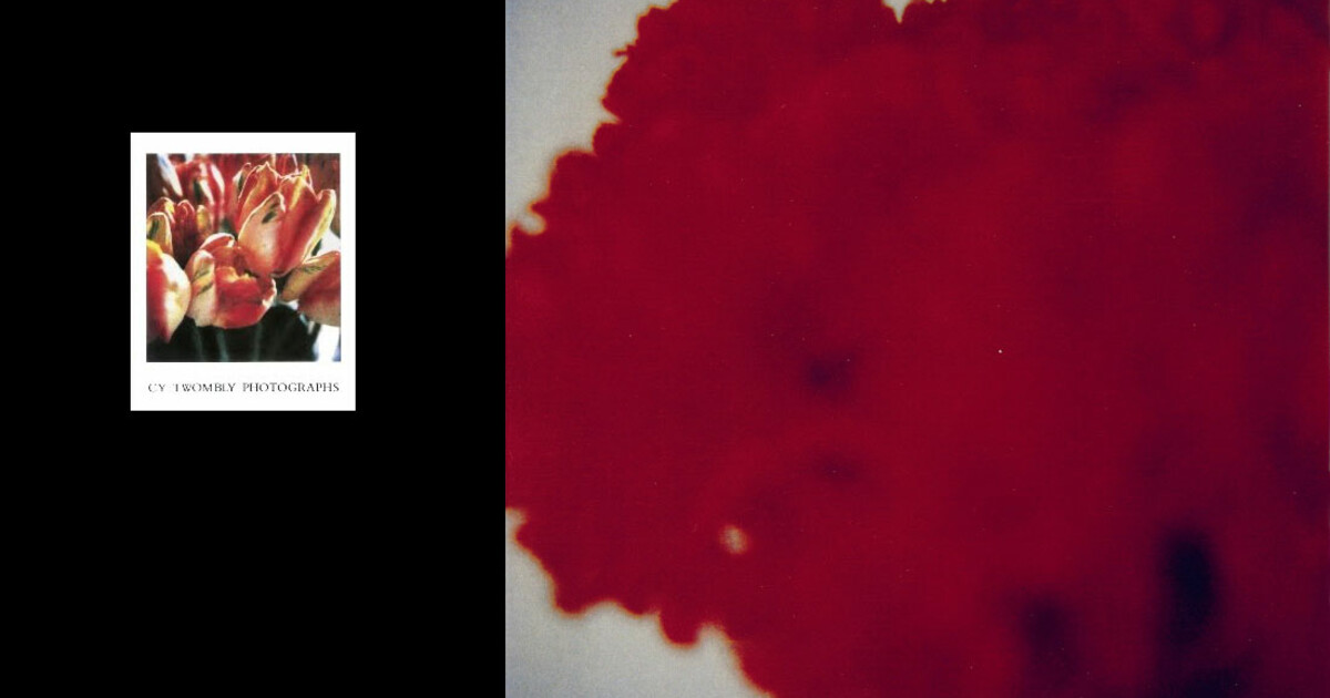 Cy Twombly. Photographs. | LiFO
