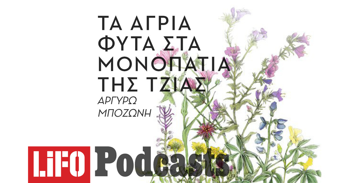 Χαρτογραφώντας τα φυτά που μεγαλώνουν άγρια στα μονοπάτια της Τζιας | LiFO