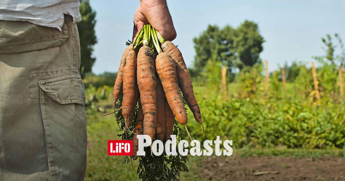 «Συζητάμε όλοι πού θα φάμε και όχι ποιος μας ταΐζει και πώς» | LiFO