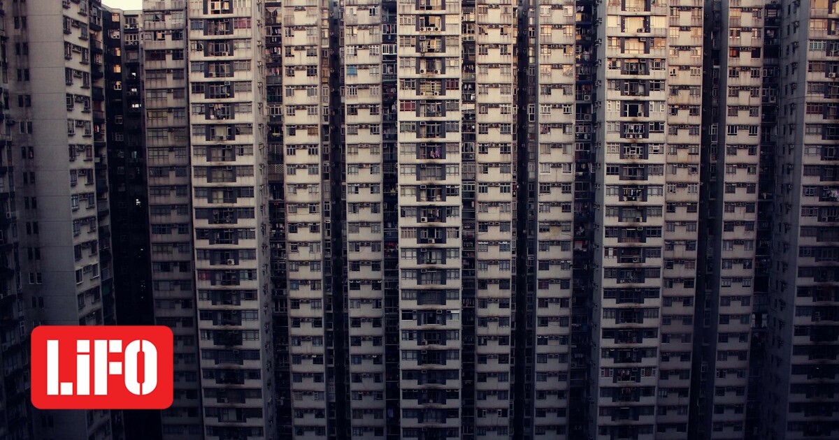 Still live like humans | LiFO