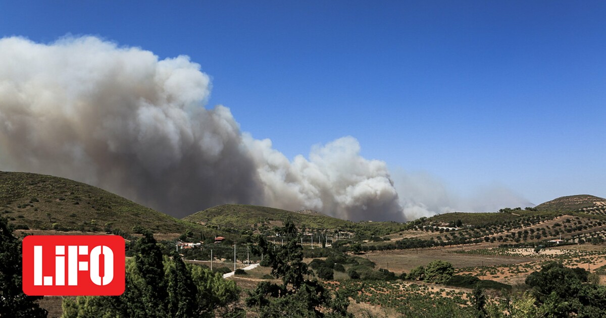 Ανεξέλεγκτη η φωτιά στα Καλύβια: Εκκενώνονται Ανάβυσσος και Παλαιά ...