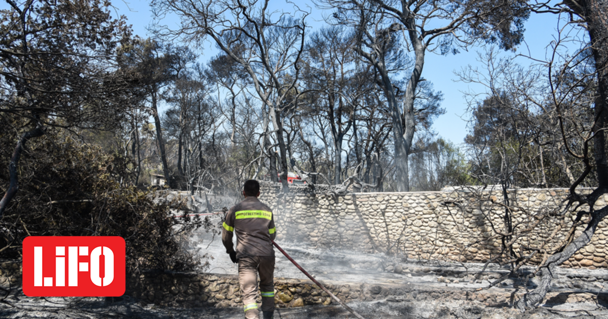 Φωτιά στην Αχαΐα: Στάχτη πάνω από 3.000 στρέμματα - Η εικόνα από ...
