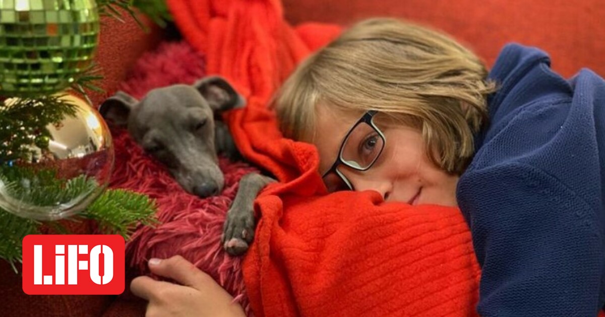 10 νέες φωτογραφίες απ' τα τέλεια ζώα των αναγνωστών μας #810 | LiFO