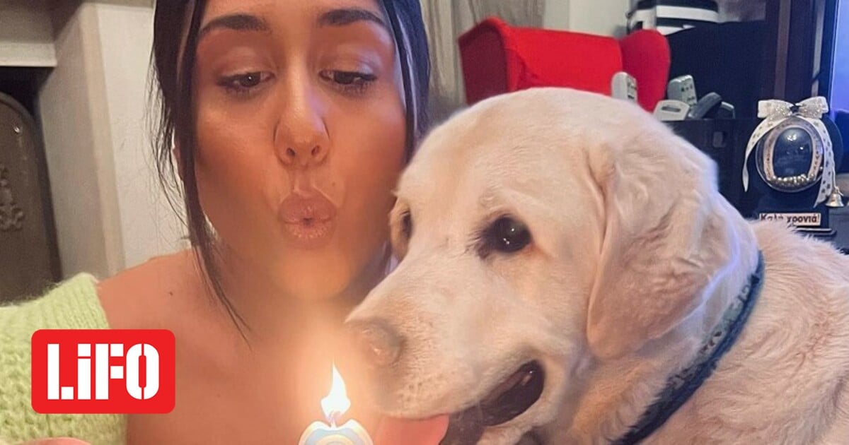 10 νέες φωτογραφίες απ' τα τέλεια ζώα των αναγνωστών μας #852 | LiFO