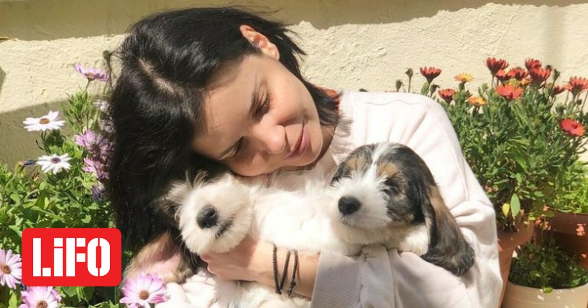 10 νέες φωτογραφίες απ' τα τέλεια ζώα των αναγνωστών μας #853 | LiFO