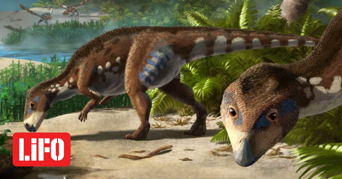 Τρανσυλβανόσαυρος πλατυκέφαλος: Ανακαλύφθηκε νέο είδος ορνιθόποδων ...