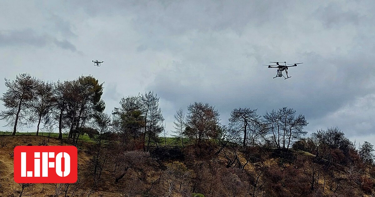 Drone αναδασώνουν τα Γεράνεια Όρη - Για πρώτη φορά στην Ελλάδα | LiFO