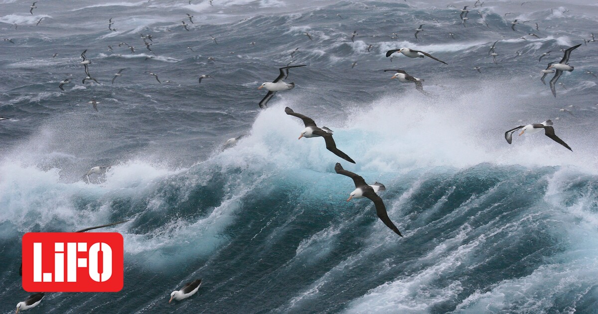 Μήνυμα από το 112 σε Χαλκιδική και Πιερία- Live η πορεία της κακοκαιρίας Ariel | LiFO
