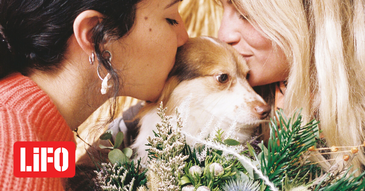 10 πρωτότυπα δώρα για τους plant parents φίλους σας | LiFO