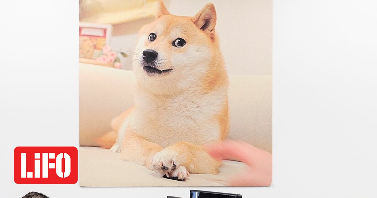 Μέσα στην «εγκυκλοπαίδεια» των meme - Εκεί όπου καταγράφονται και ...