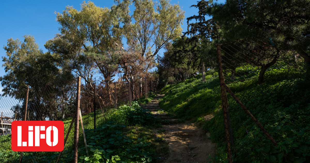 Λόφος Στρέφη: Ένταση και επτά προσαγωγές | LiFO