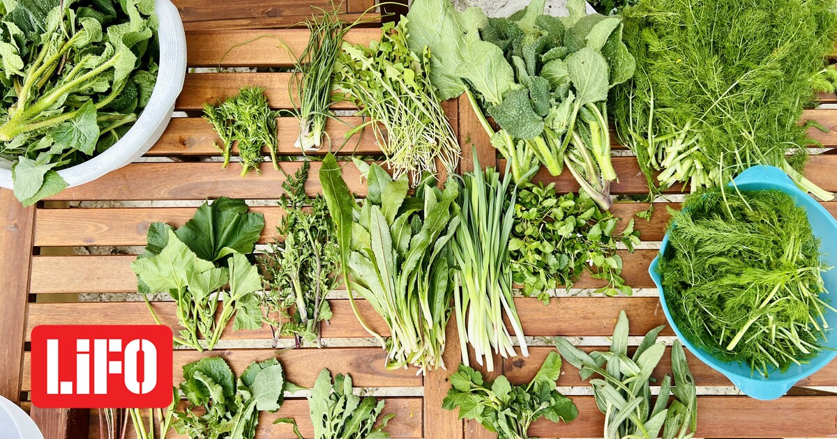 Τα άγρια χόρτα της κρητικής κουζίνας | LiFO