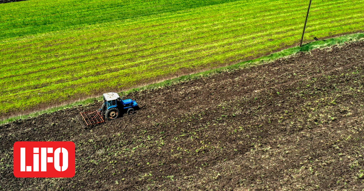 Βόλος: Πούλησε χωράφια που δεν είχε και πήρε 20.000 ευρώ | LiFO