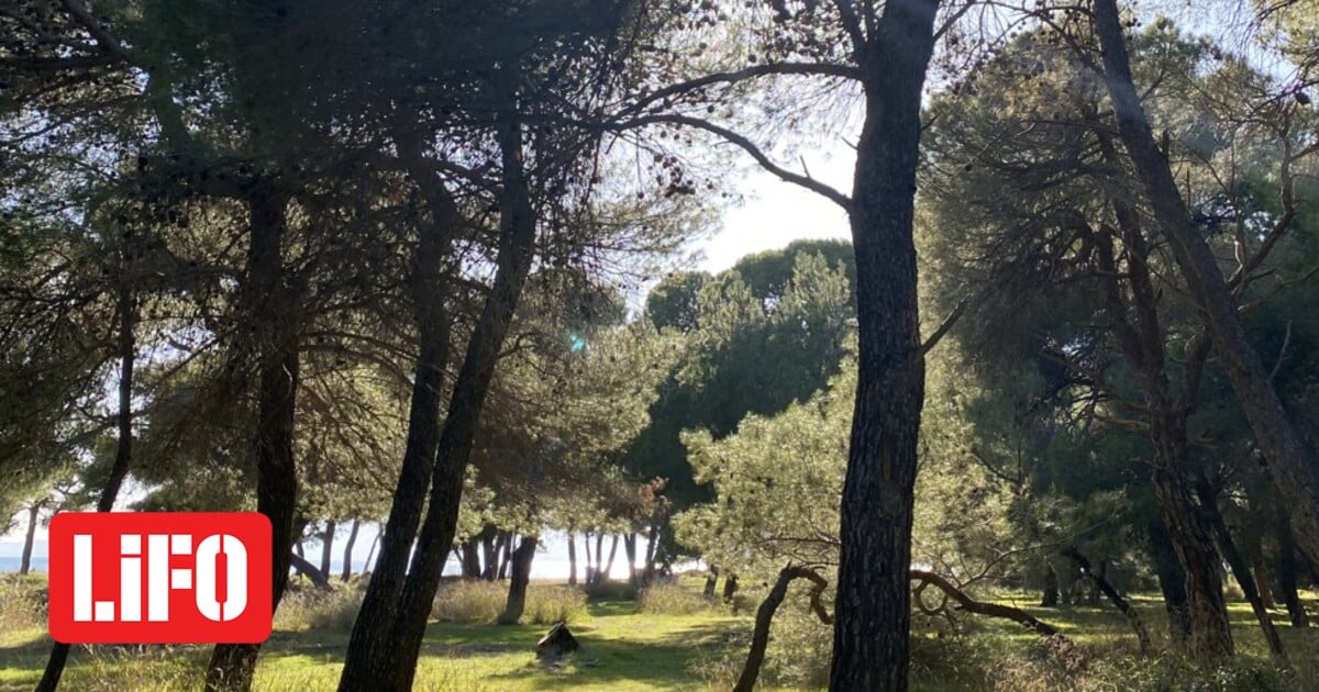 Προγραμματικές: 12 μεταρρυθμίσεις για το Περιβάλλον και την Ενέργεια | LiFO