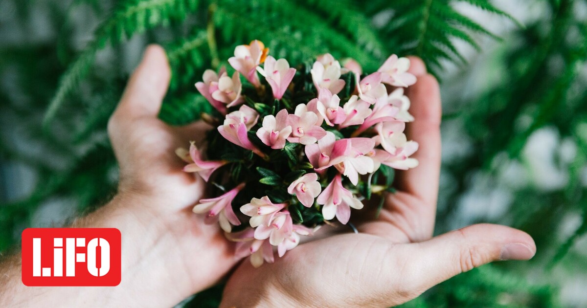 Plant sitting στην Αθήνα: Ποιος θα προσέχει τα φυτά σας όσο εσείς κάνετε διακοπές; | LiFO