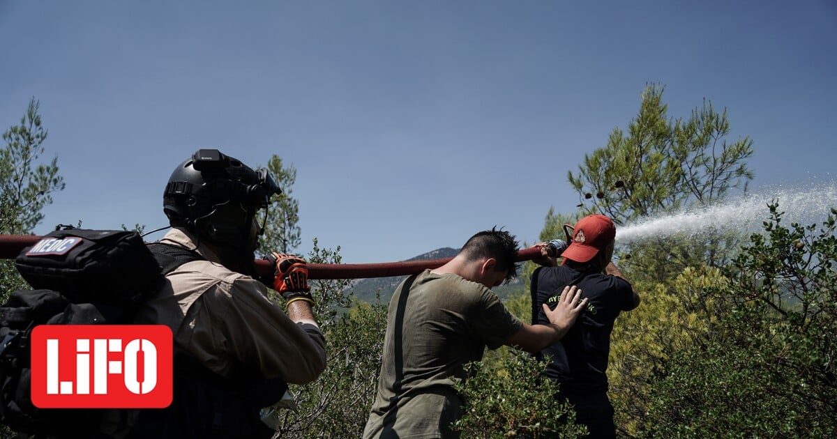 Υψηλός κίνδυνος πυρκαγιάς σήμερα- Ο χάρτης της Πολιτικής Προστασίας | LiFO