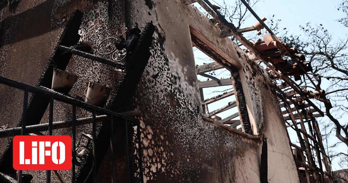 Φωτιές: Τέλη Ιουλίου ανοίγει η πλατφόρμα για τους πυρόπληκτους- Όλα τα ...