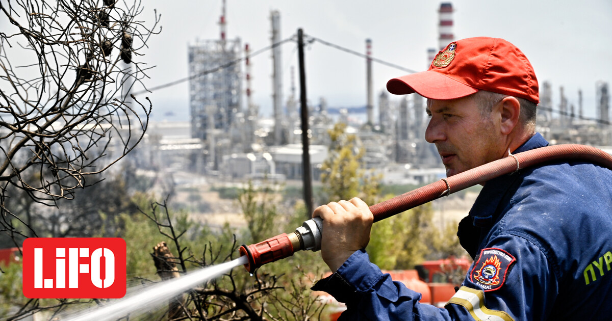 Φωτιές: Η νεότερη ενημέρωση της πυροσβεστικής για όλα τα μέτωπα | LiFO