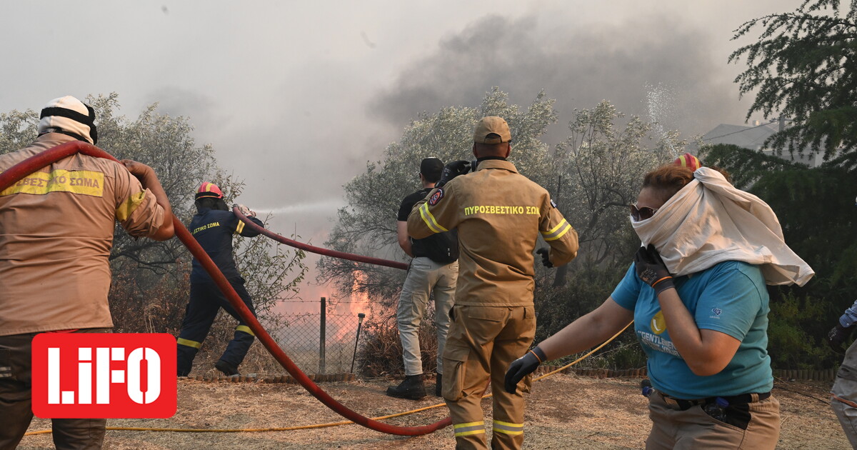 Φωτιά στη Λαμία: Αναζωπύρωση στο πύρινο μέτωπο, μήνυμα του 112 για εκκένωση | LiFO