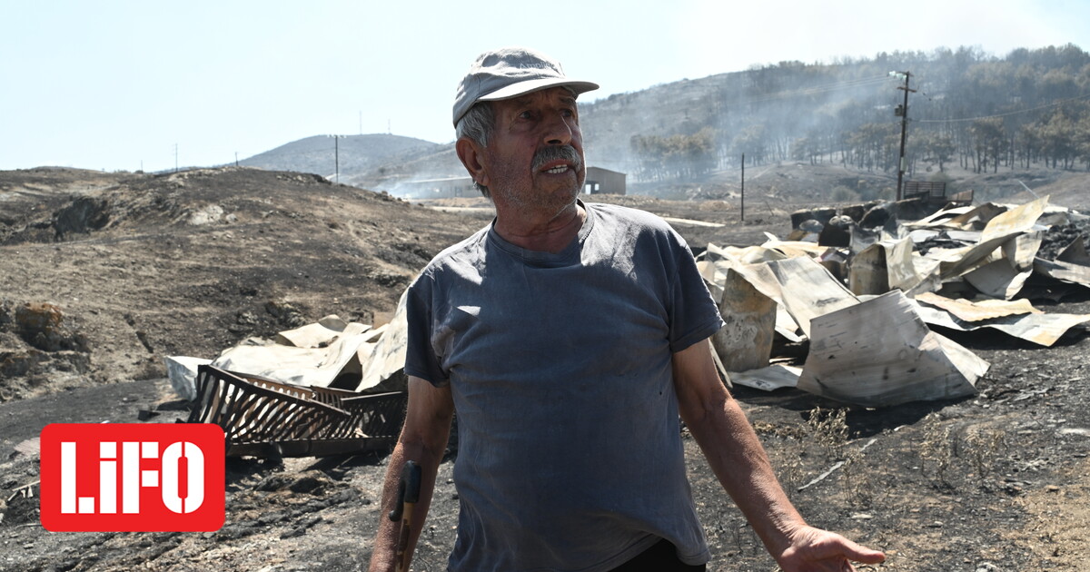 Φωτιά στη Μαγνησία: Καμένες περιουσίες και ζώα σε κίνδυνο- Στάχτη περισσότερα από 50.000 ...