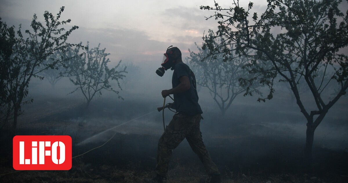Φωτιές: Εικόνες καταστροφής και δύο νεκροί από τα ανεξέλεγκτα μέτωπα στη Μαγνησία | LiFO