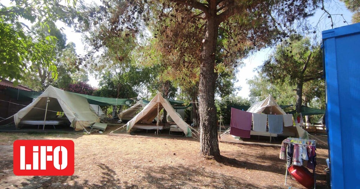 Νένα Χρονοπούλου: Καταγγελία για άθλιες συνθήκες σε κατασκήνωση για ...