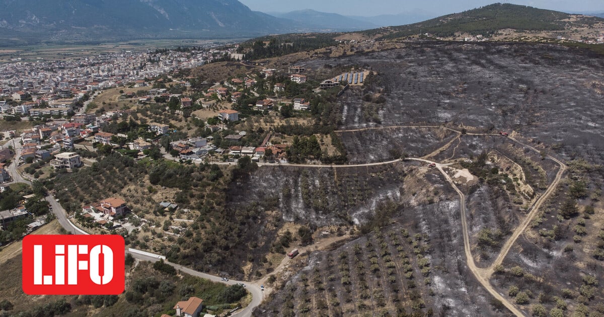 Φωτιές: 470.000 στρέμματα έγιναν στάχτη τον Ιούλιο - Η νέα αποτίμηση | LiFO