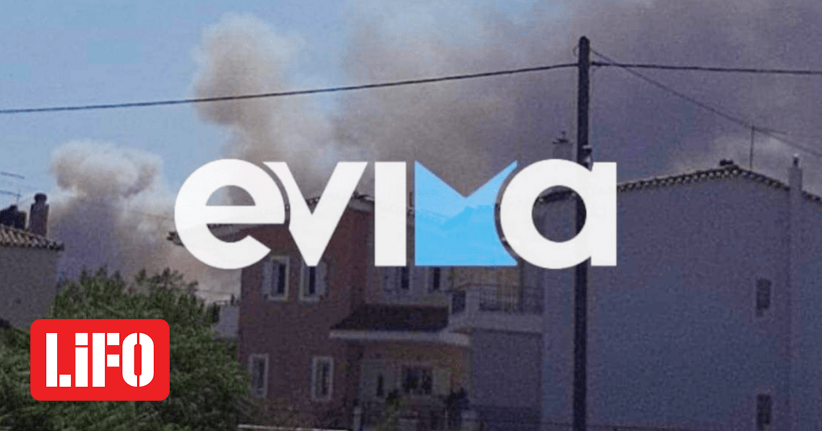 Φωτιά στα Ψαχνά: Ήχησε το 112, κοντά σε σπίτια οι φλόγες | LiFO