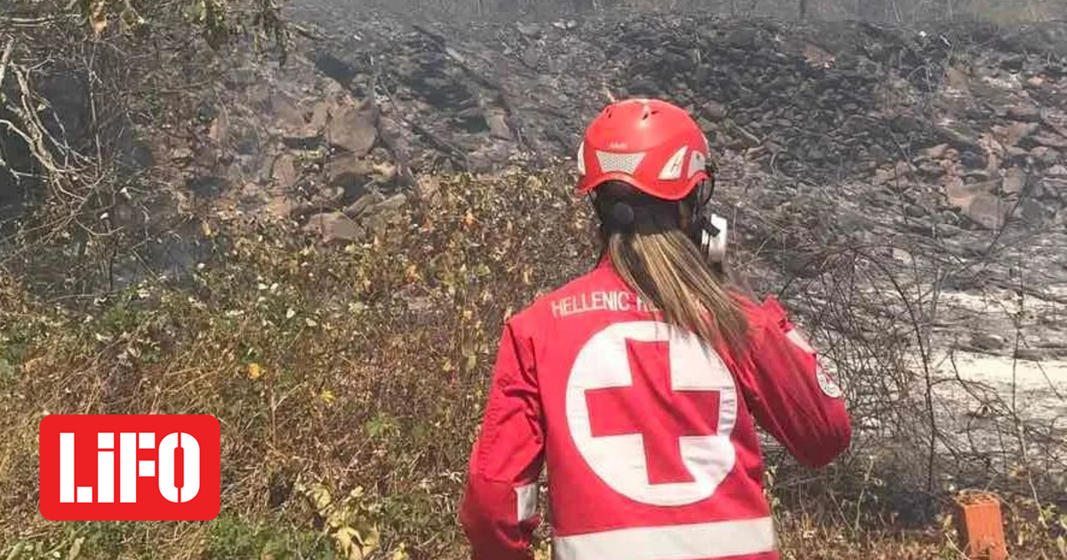 TikTok: 200.000 ευρώ στον Ελληνικό Ερυθρό Σταυρό για τους πυρόπληκτους | LiFO