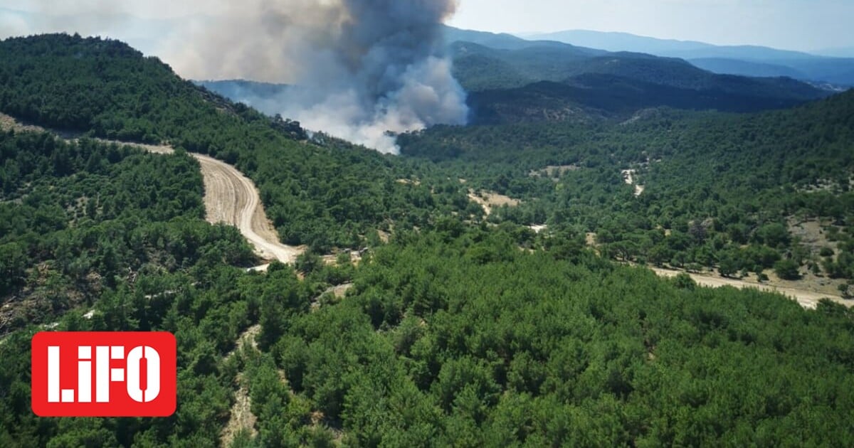 Αποτίμηση επιπτώσεων από την πυρκαγιά στο Εθνικό Πάρκο Δάσους Δαδιάς ...