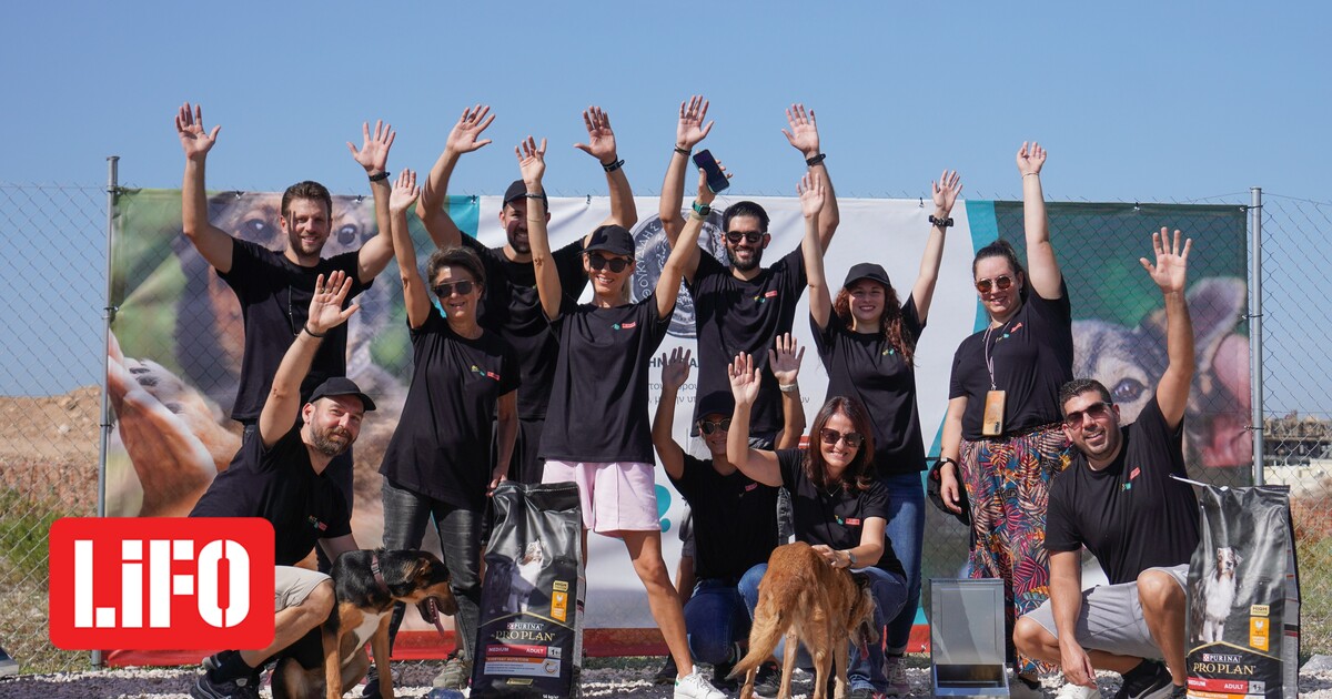 Τα Pet City και η PURINA® μεταμορφώνουν το καταφύγιο αδέσποτων ζώων του ...