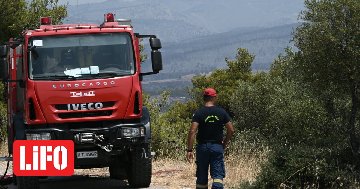Φωτιά τώρα στην Κέρκυρα- Μήνυμα του 112 για εκκένωση οικισμού | LiFO