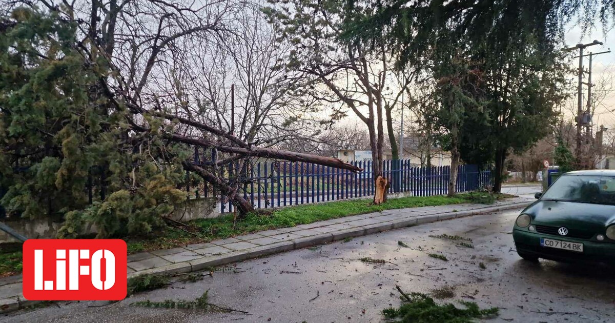 Θεσσαλονίκη: Κλειστά όλα τα σχολεία στον Σοχό λόγω των ισχυρών ανέμων ...