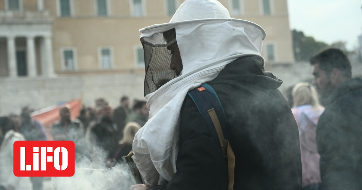 Διαμαρτυρία στο Σύνταγμα σήμερα για τους μελισσοκόμους | LiFO