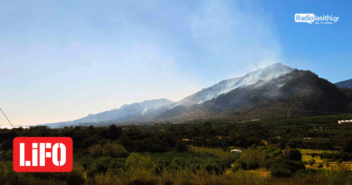 Φωτιά στο Λασίθι: Χωρίς ενεργό μέτωπο -Έγιναν στάχτη 2.000 στρέμματα στον Μαύρο Κόλυμπο | LiFO
