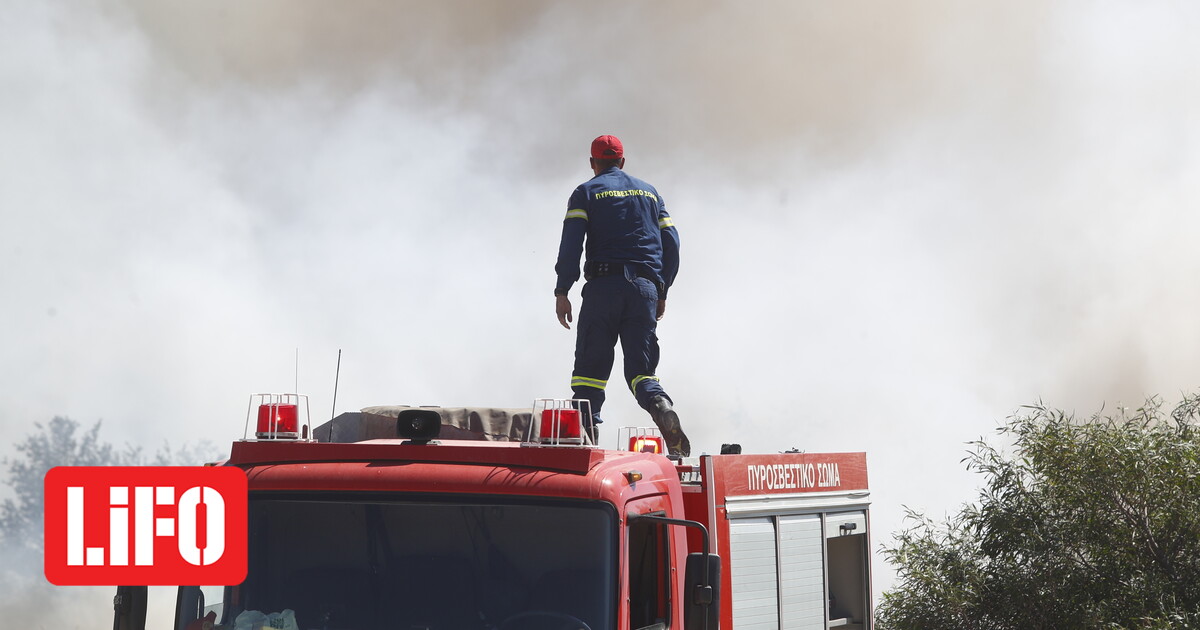 Φωτιά τώρα στη Ροδόπη – Μήνυμα του 112 | LiFO