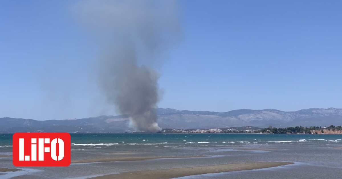 Φωτιά τώρα στα Ψαχνά Εύβοιας: Απειλούνται σπίτια και ο υγροβιότοπος ...