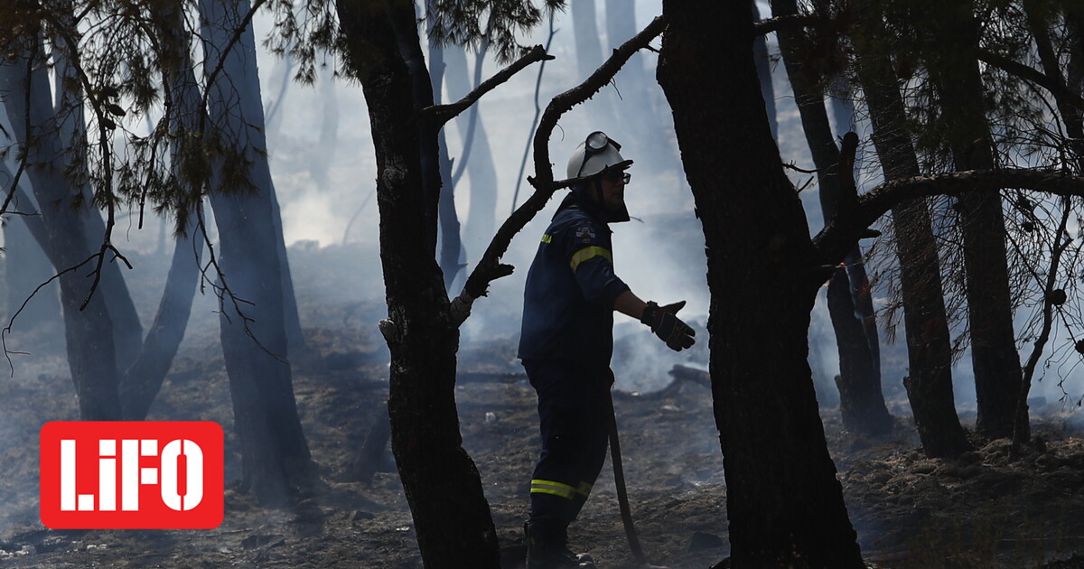 Γλυκά Νερά: Δίωξη για εμπρησμό στον 35χρονο που πετούσε το drone | LiFO