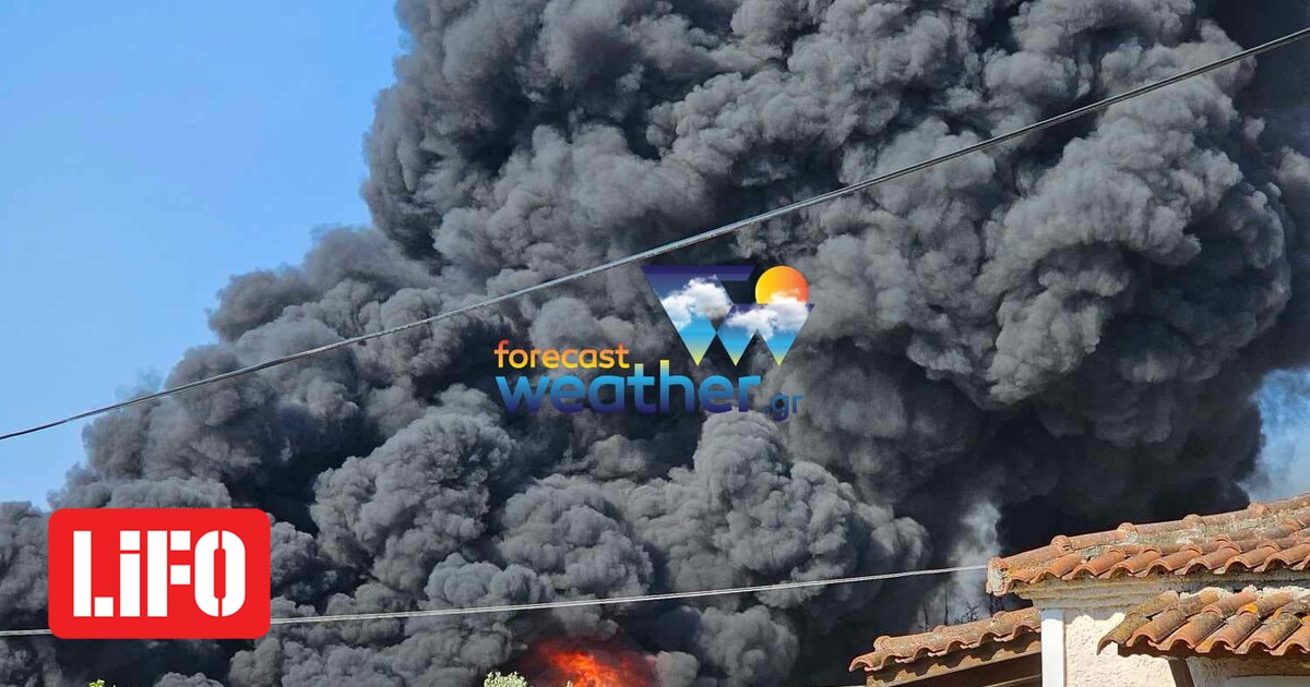 Φωτιά τώρα έξω από την Πάτρα - Μήνυμα 112 για τους καπνούς | LiFO