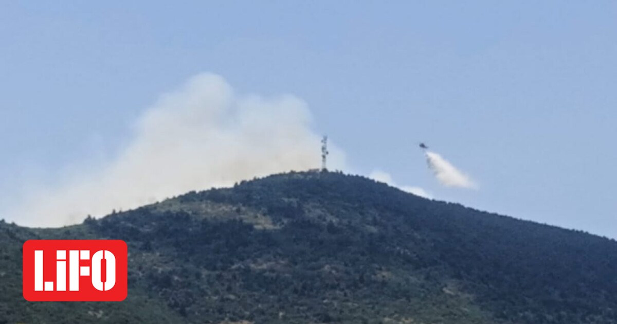 Φωτιά καίει δάσος στις Ερυθρές Αττικής - Εκκενώθηκε κατασκήνωση με ...