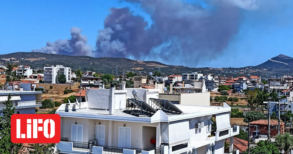 Φωτιά στην Εύβοια: Εξαπλώνεται επικίνδυνα το μέτωπο - Μήνυμα από το 112 | LiFO