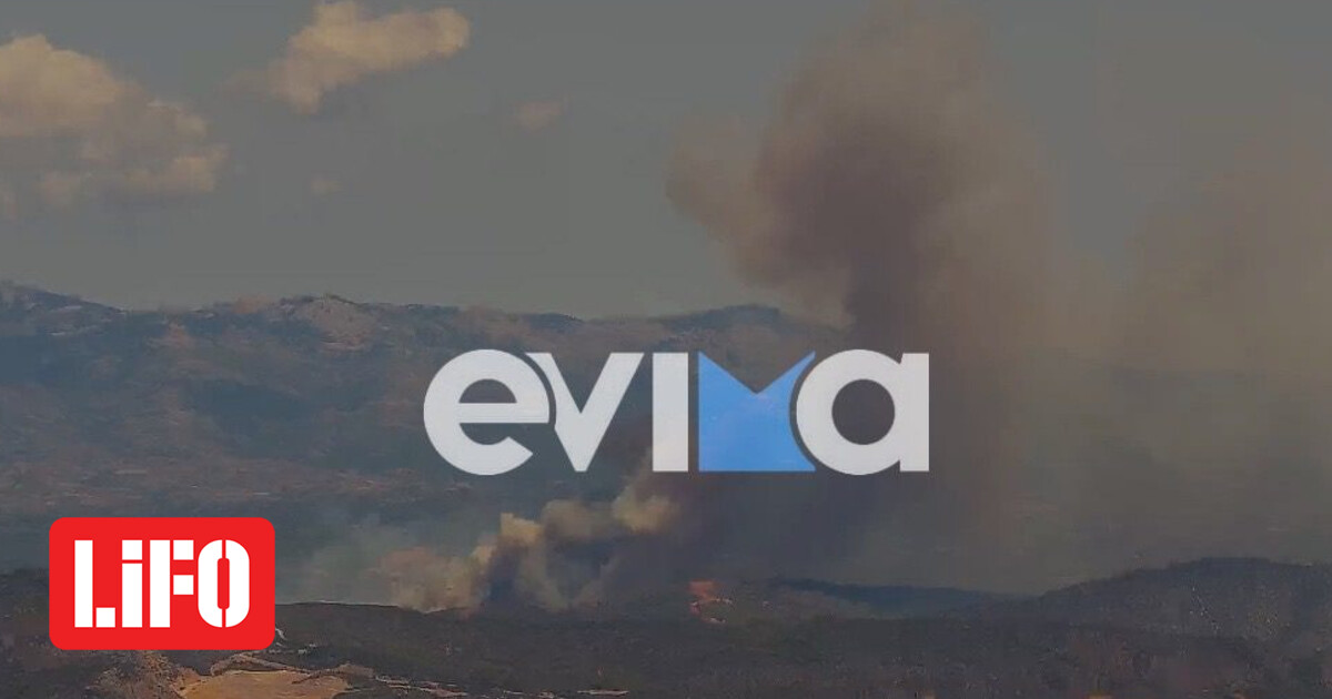 Φωτιά τώρα στον Πισσώνα Ευβοίας - Ήχησε το 112 | LiFO
