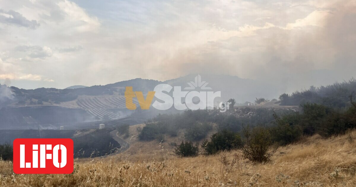 Φωτιά τώρα στον Δομοκό -Μήνυμα από το 112 | LiFO