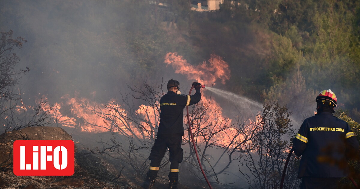 Χάρτης επικινδυνότητας πυρκαγιάς: Στο κόκκινο και σήμερα πολλές ...
