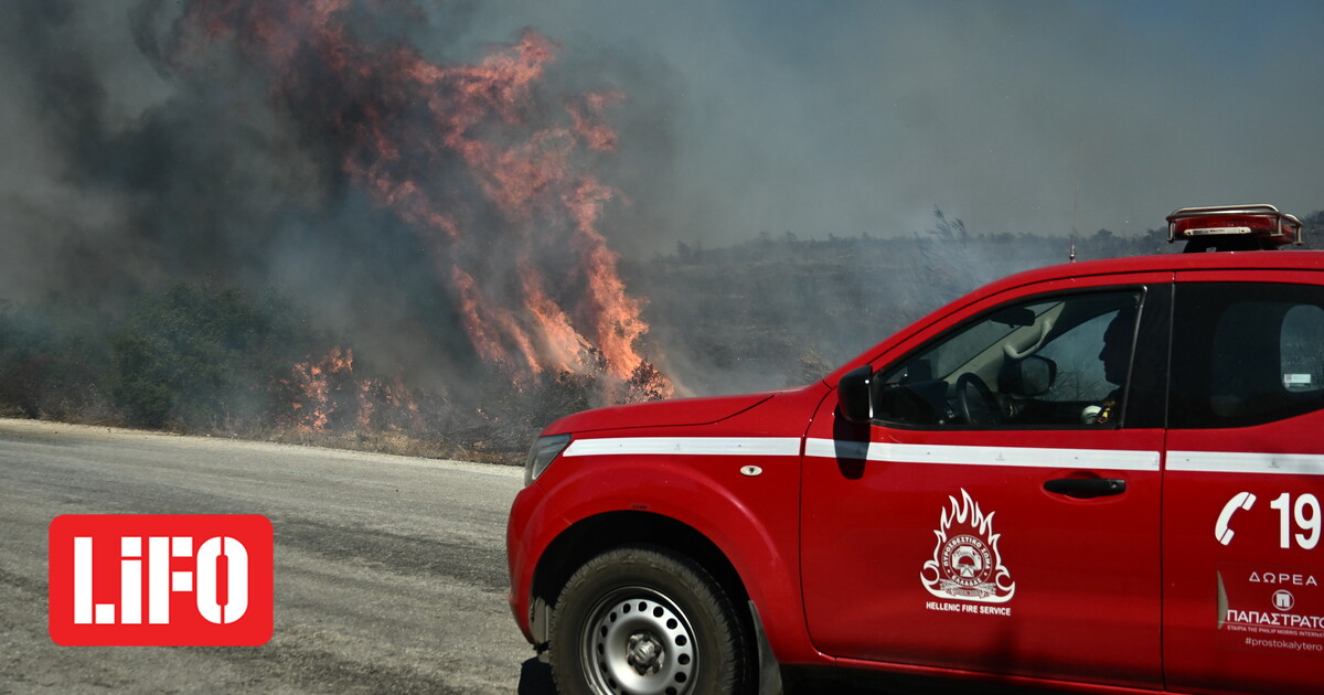 Φωτιά στο Πήλιο: Εστάλη μήνυμα από το 112 | LiFO