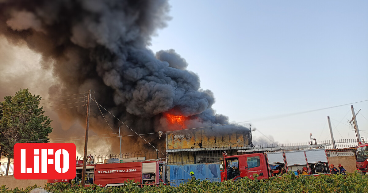 Φωτιά στην Κόρινθο σε εργοστάσιο- Ισχυρές δυνάμεις στο σημείο, ήχησε το 112 | LiFO