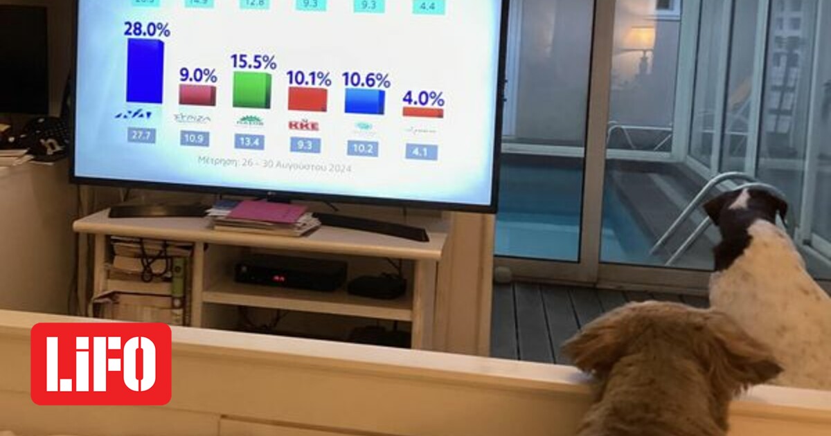 Έλενα Ακρίτα απαντά στους haters για την πισίνα στο σπίτι της: «Τον ...