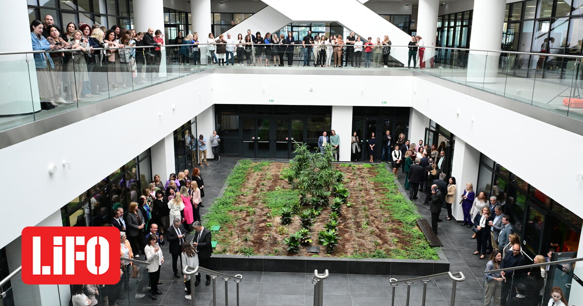 Το νέο κτίριο της ΑΑΔΕ: «Πράσινο», 26.500 τ.μ., με παιδικό σταθμό και υπόγεια πάρκινγκ | LiFO