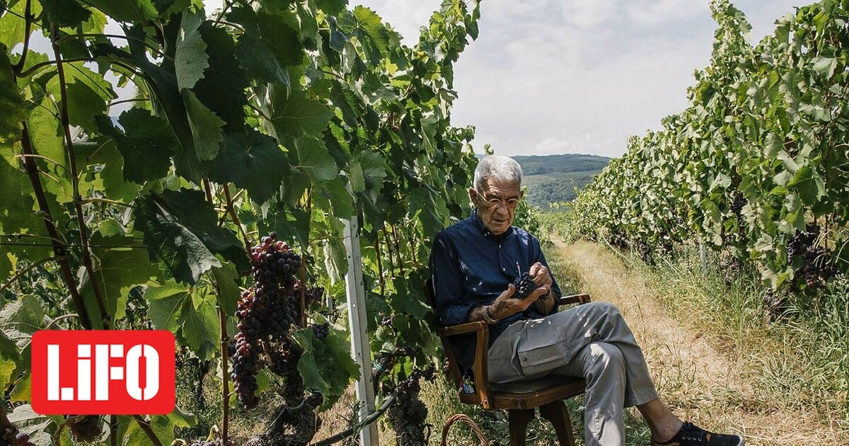 Γιάννης Μπουτάρης (1942-2024): Ο άνθρωπος που στην εποχή του φύσηξε φρέσκος αέρας στη ...